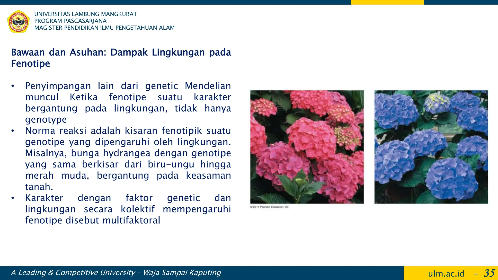 BIOLOGI_KELOMPOK_5 Genetika Klasik SEl.pptx