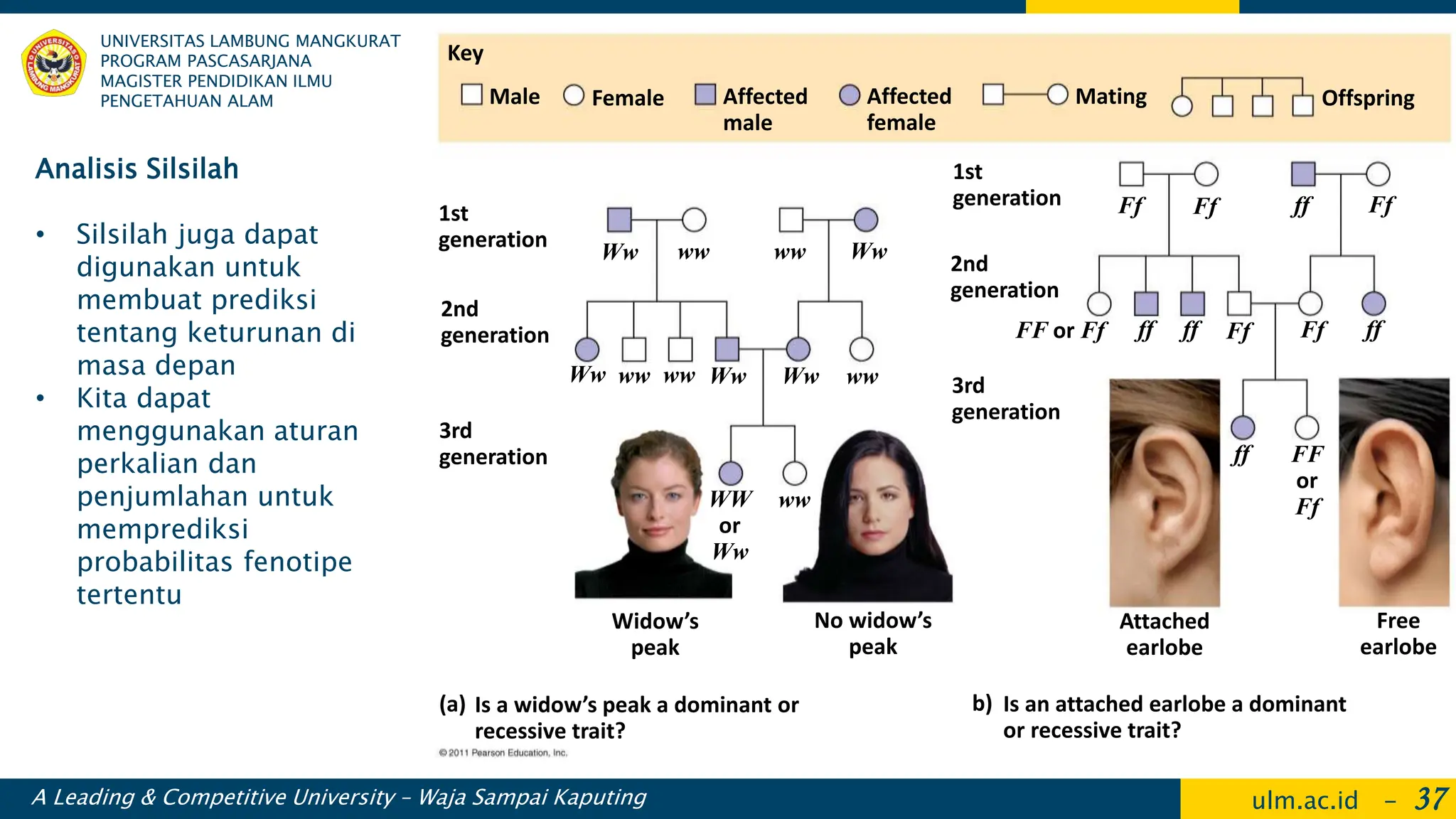 BIOLOGI_KELOMPOK_5 Genetika Klasik SEl.pptx