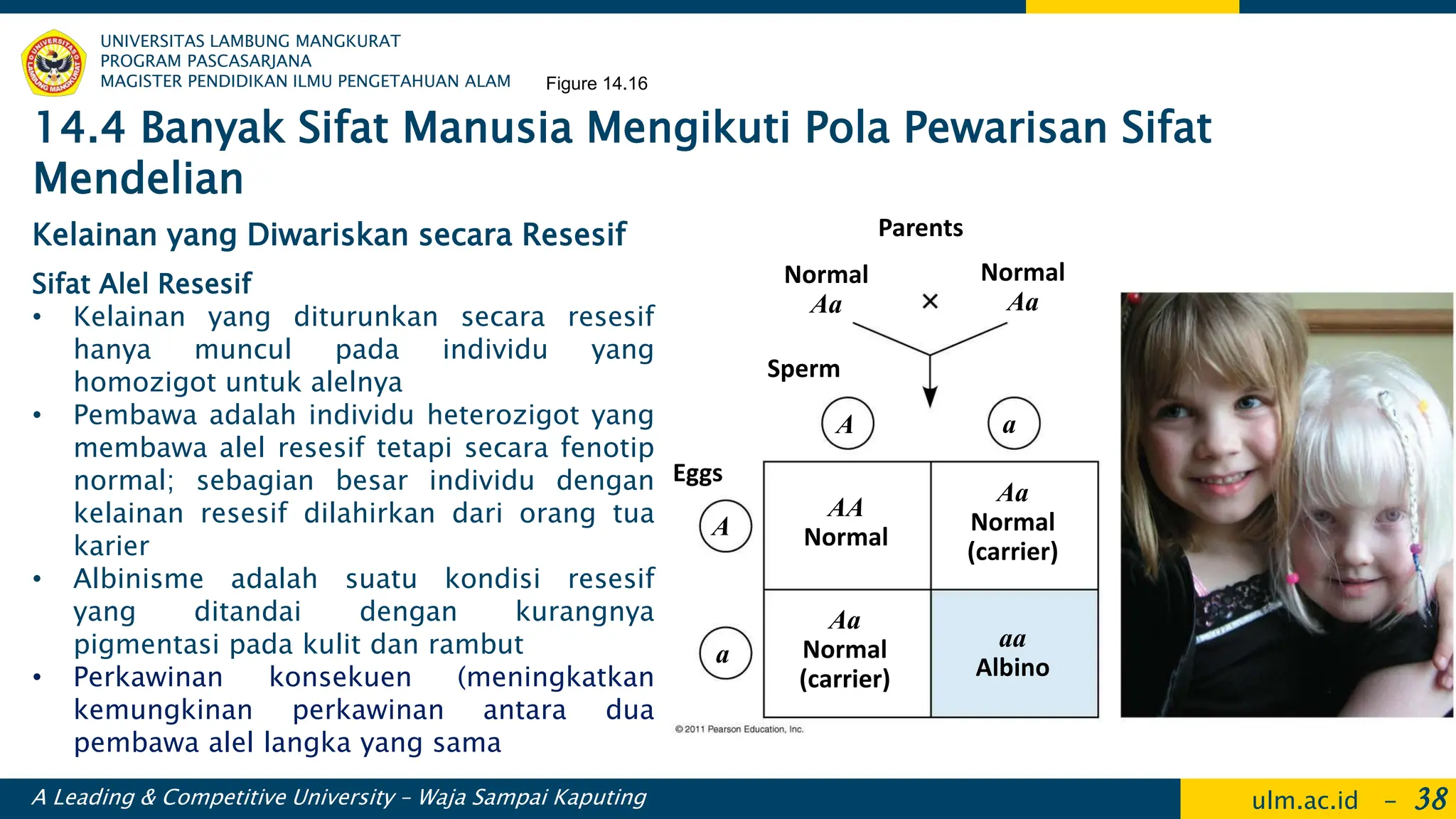 BIOLOGI_KELOMPOK_5 Genetika Klasik SEl.pptx