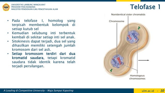 BIOLOGI_KELOMPOK_5 Genetika Klasik SEl.pptx
