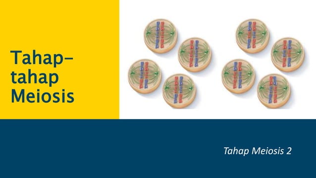 BIOLOGI_KELOMPOK_5 Genetika Klasik SEl.pptx