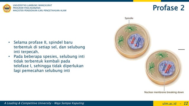 BIOLOGI_KELOMPOK_5 Genetika Klasik SEl.pptx
