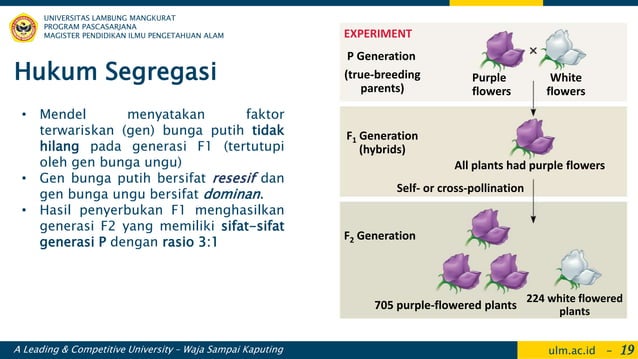 BIOLOGI_KELOMPOK_5 Genetika Klasik SEl.pptx | Free Download