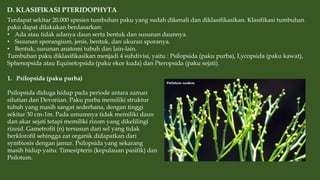 BIOLOGI LUMUT.pptx