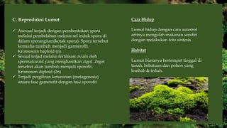 BIOLOGI LUMUT.pptx