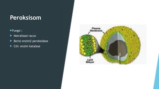 cell organelles for biology grade XI senior high school | PPT