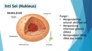 cell organelles for biology grade XI senior high school | PPT