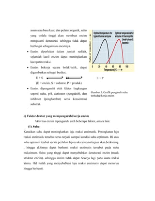 Biologi M2KB4 | PDF