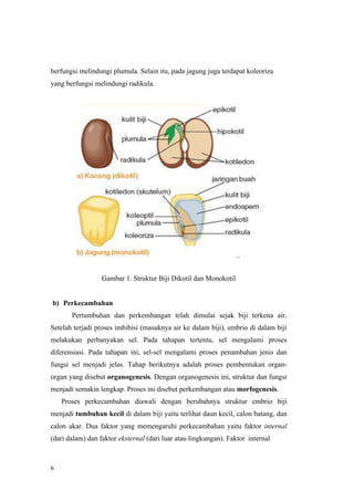 Biologi M3KB1 | PDF