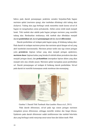 Biologi M3KB1 | PDF