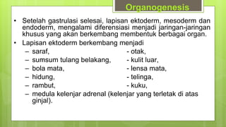 Biologi_M3KB2.ppt