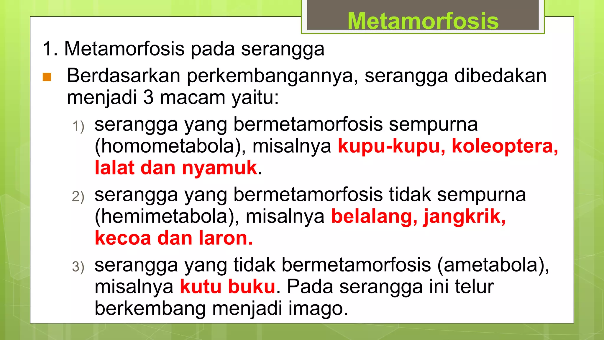 Perkembangan dan Pertumbuhan hewan.ppt