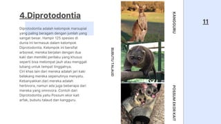 BIOLOGI MAMALIA (1).pdf