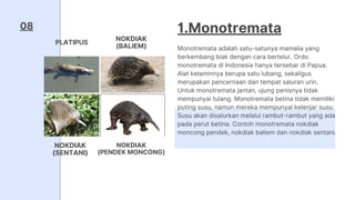 BIOLOGI MAMALIA (1).pdf