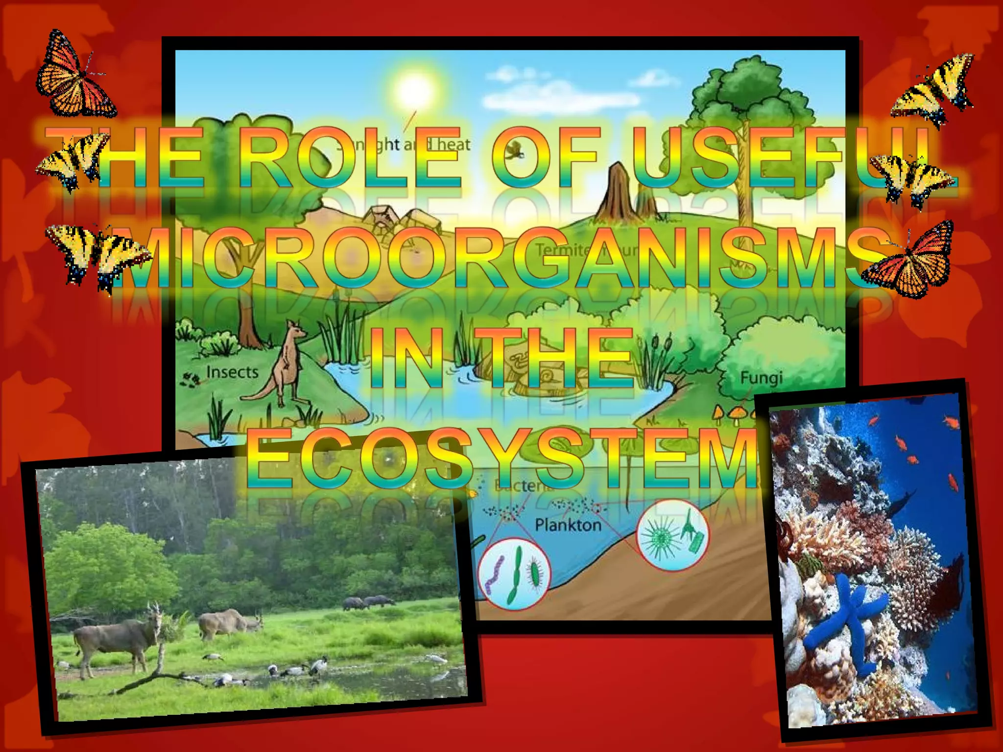 Biology form 5 useful microorganisms | PPT