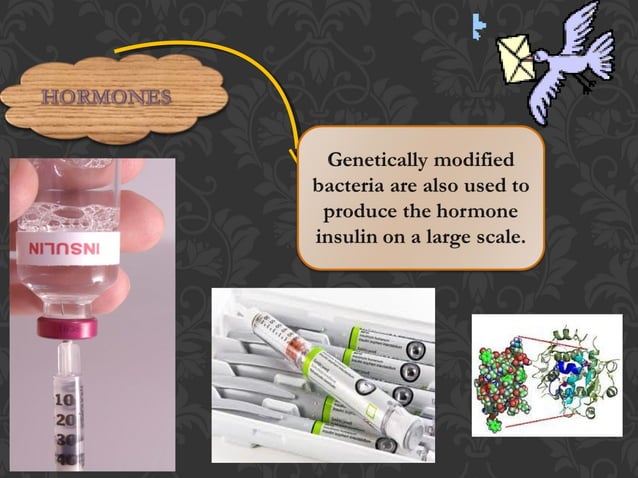 Biology form 5 useful microorganisms | PPT