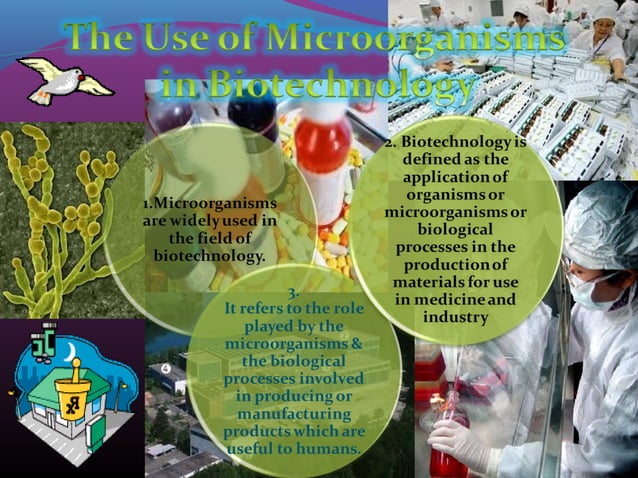 Biology form 5 useful microorganisms | PPT