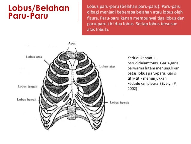 Biologi modul 1 kb 5