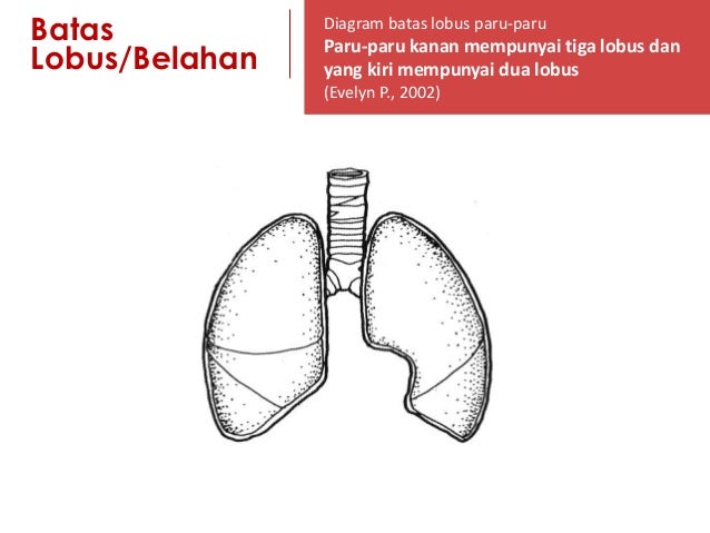 Biologi modul 1 kb 5