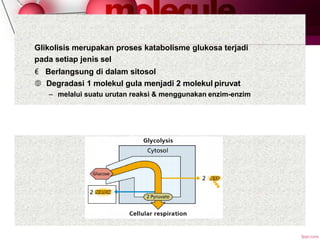 Biologi molekuler mitokondria | PPTX