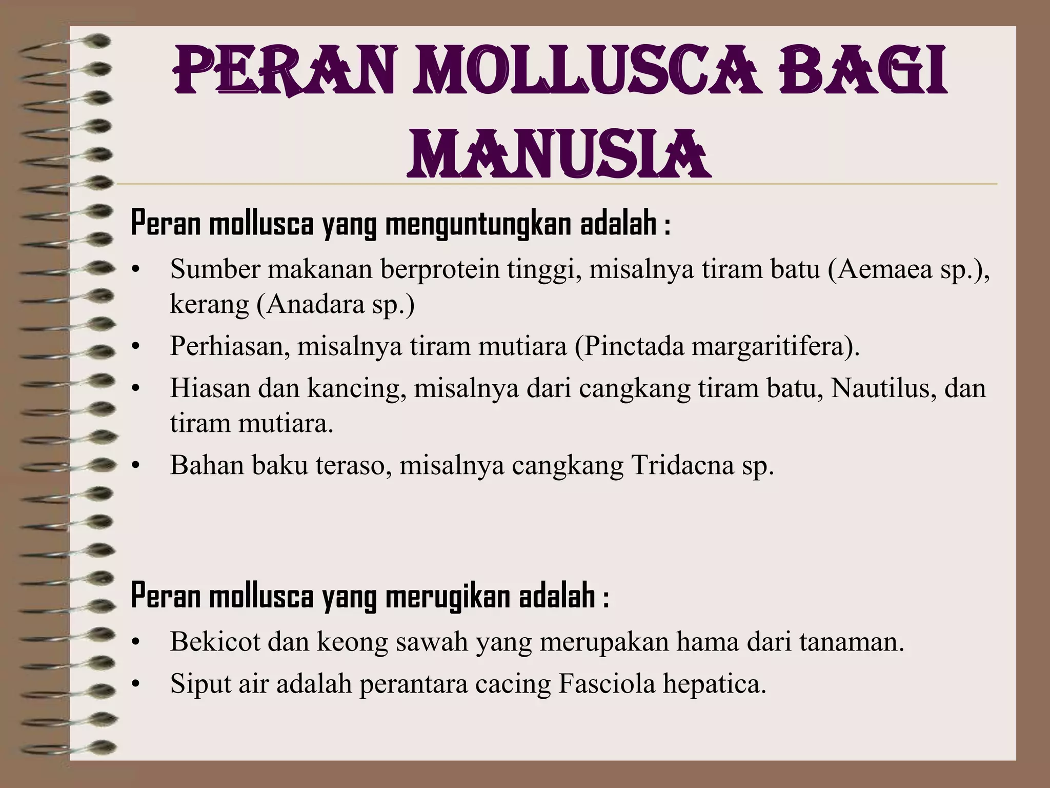 Biologi (molusca) | PPTX