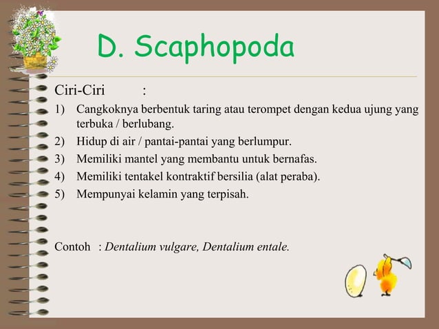 Biologi (molusca) | PPTX