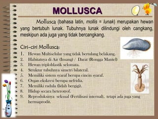 Biologi (molusca) | PPTX