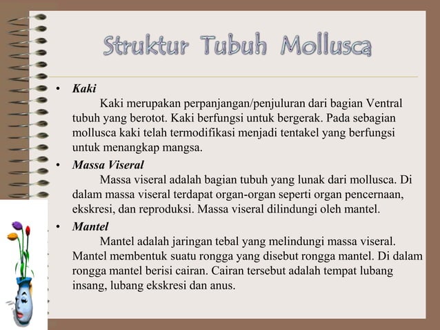 Biologi (molusca) | PPTX