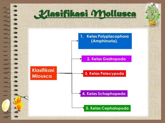 Biologi (molusca) | PPTX