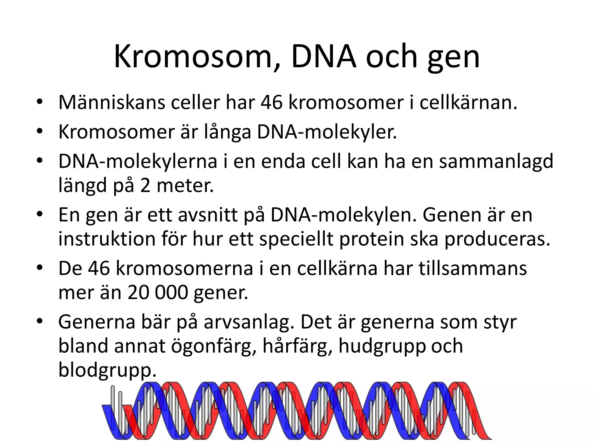 Lena Koinberg | Biologi: Cellen och arvet | PPTX