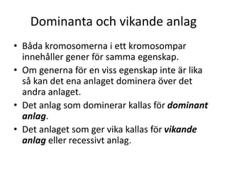 Lena Koinberg | Biologi: Cellen och arvet | PPTX