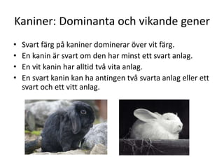 Lena Koinberg | Biologi: Cellen och arvet | PPTX