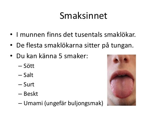 Biologi - Människan del 2