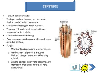 Biologi (organel sel) | PPT
