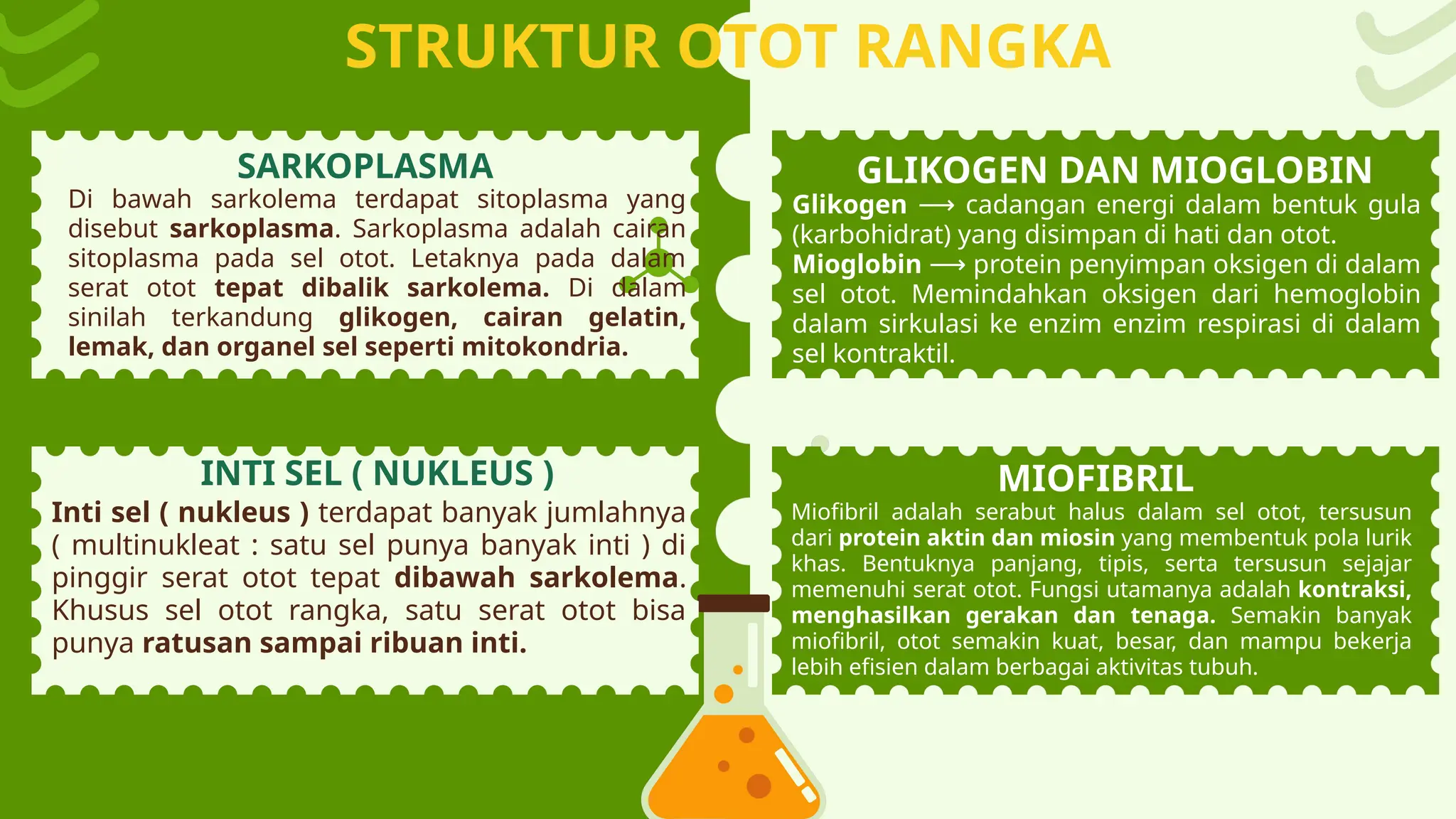 PRESENTATION ABOUT BIOLOGI OTOT RANGKA GROUP 2.pptx