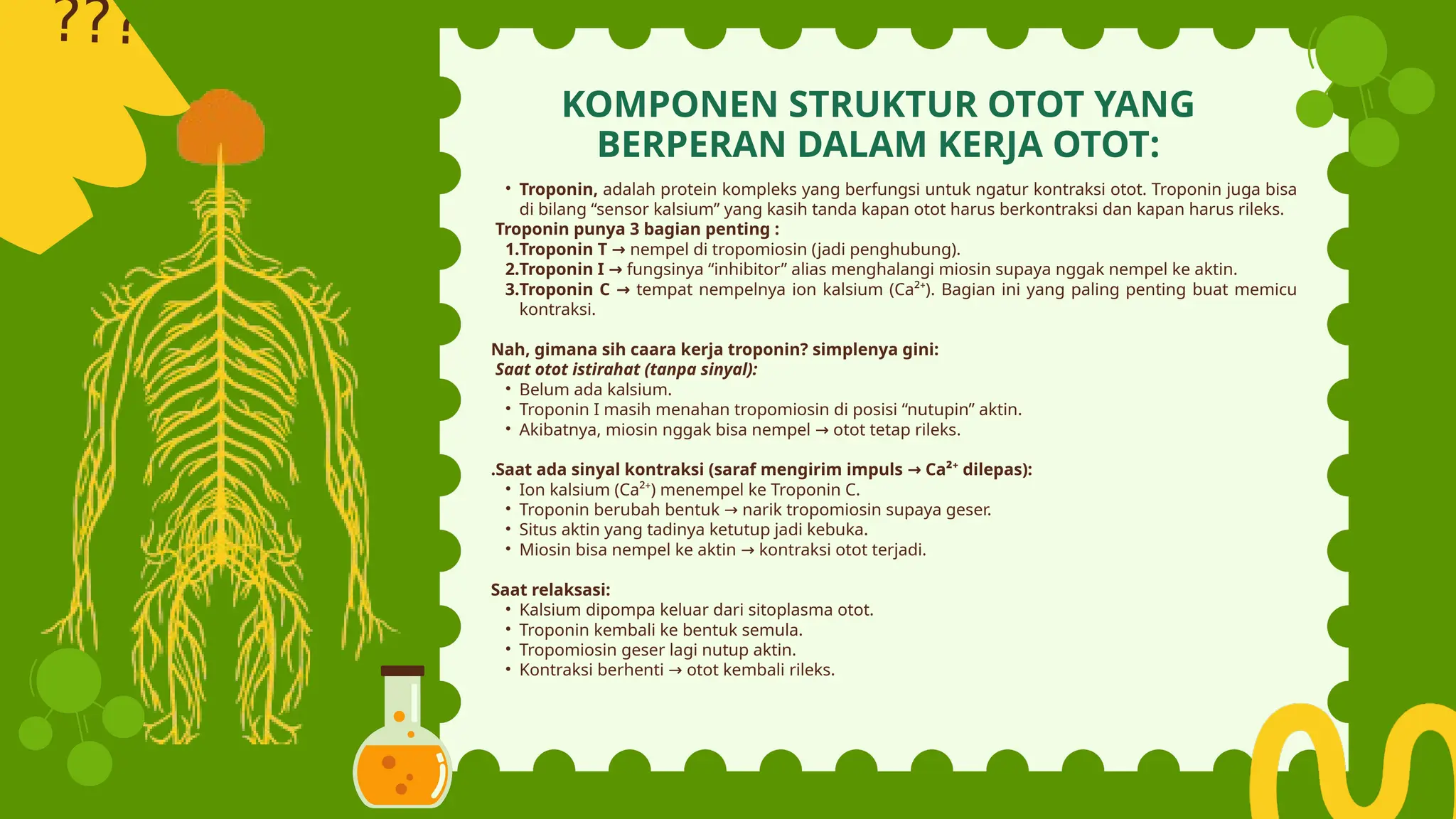 PRESENTATION ABOUT BIOLOGI OTOT RANGKA GROUP 2.pptx