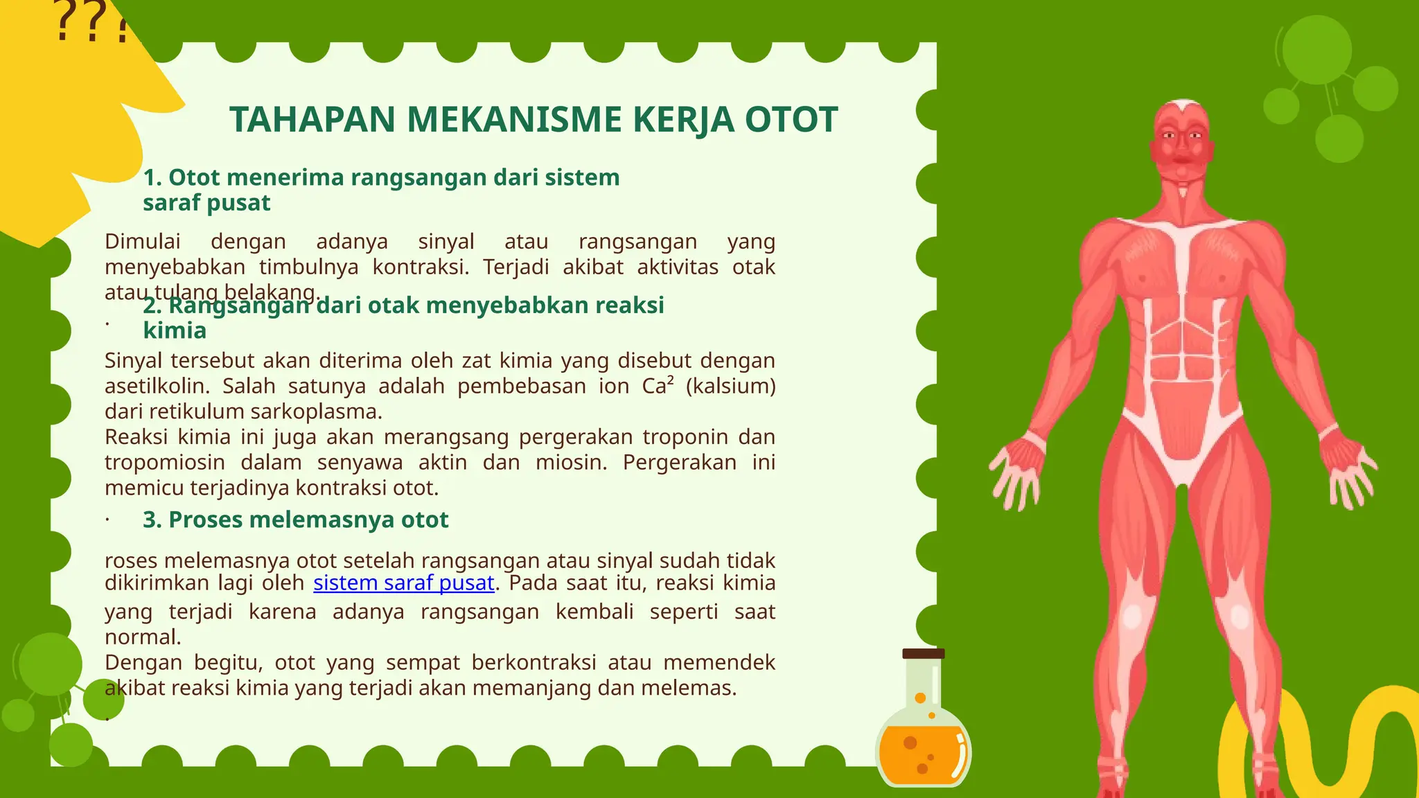 PRESENTATION ABOUT BIOLOGI OTOT RANGKA GROUP 2.pptx