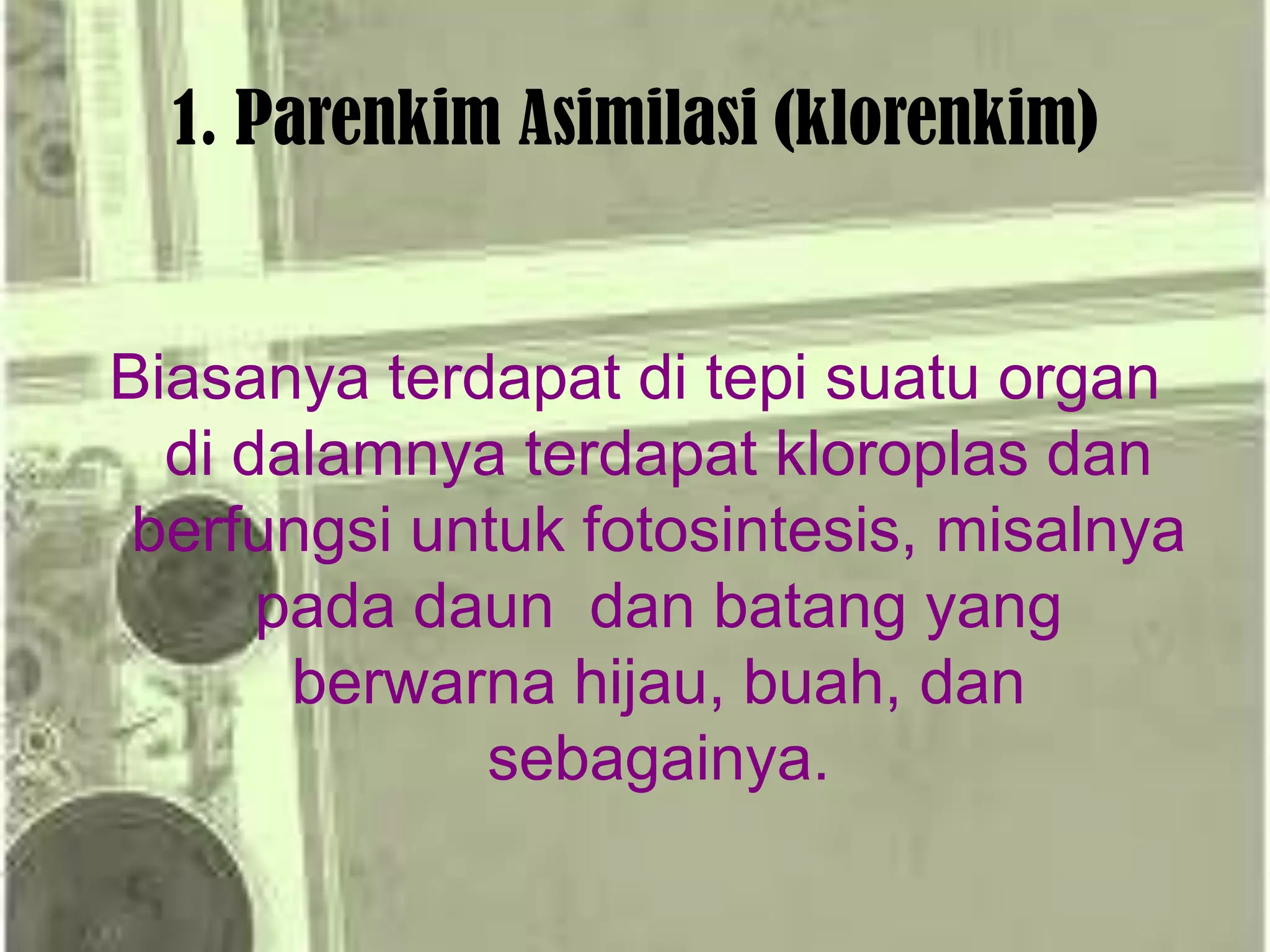 Jaringan Parenkim | PPTX