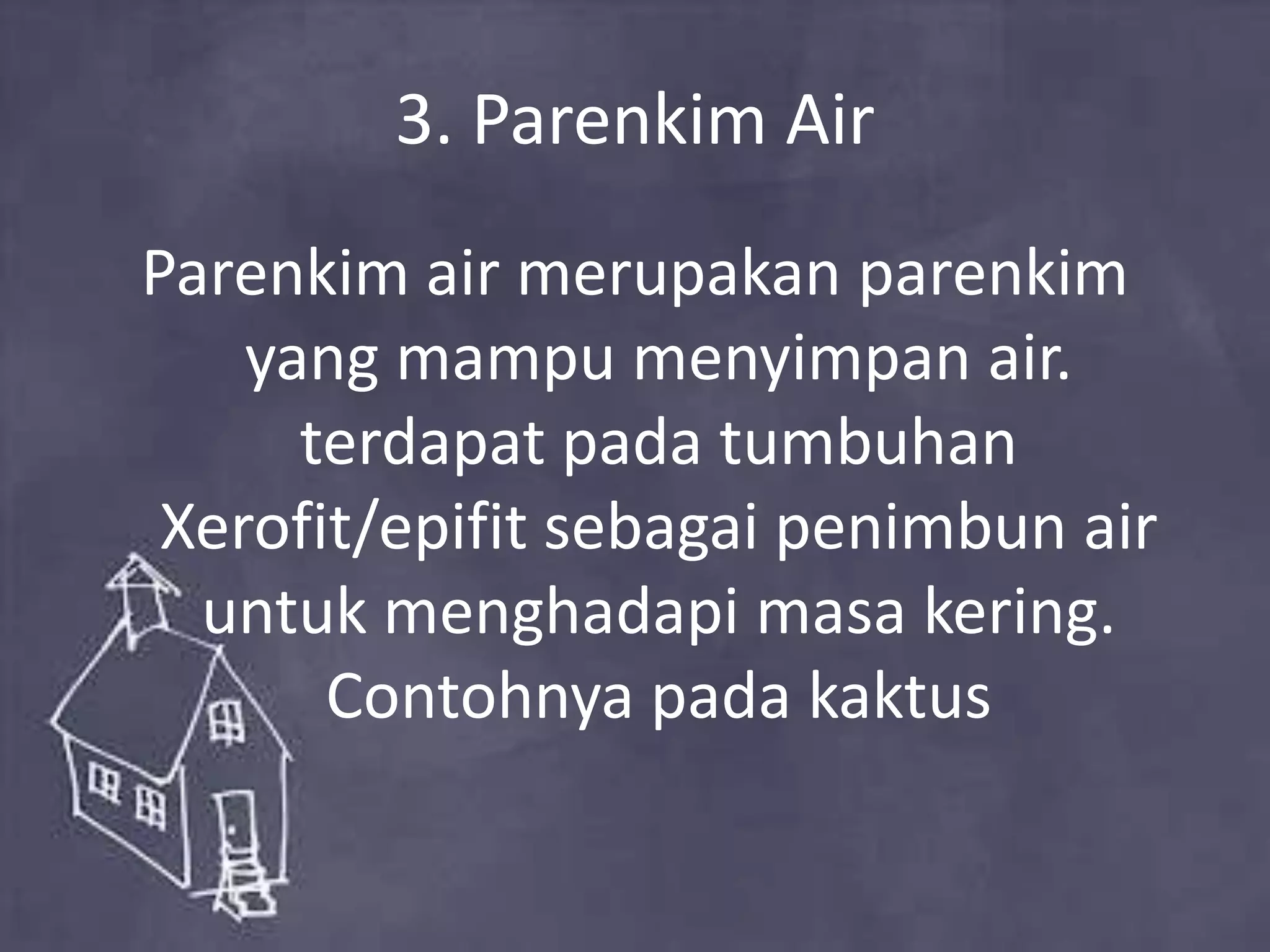 Jaringan Parenkim | PPTX
