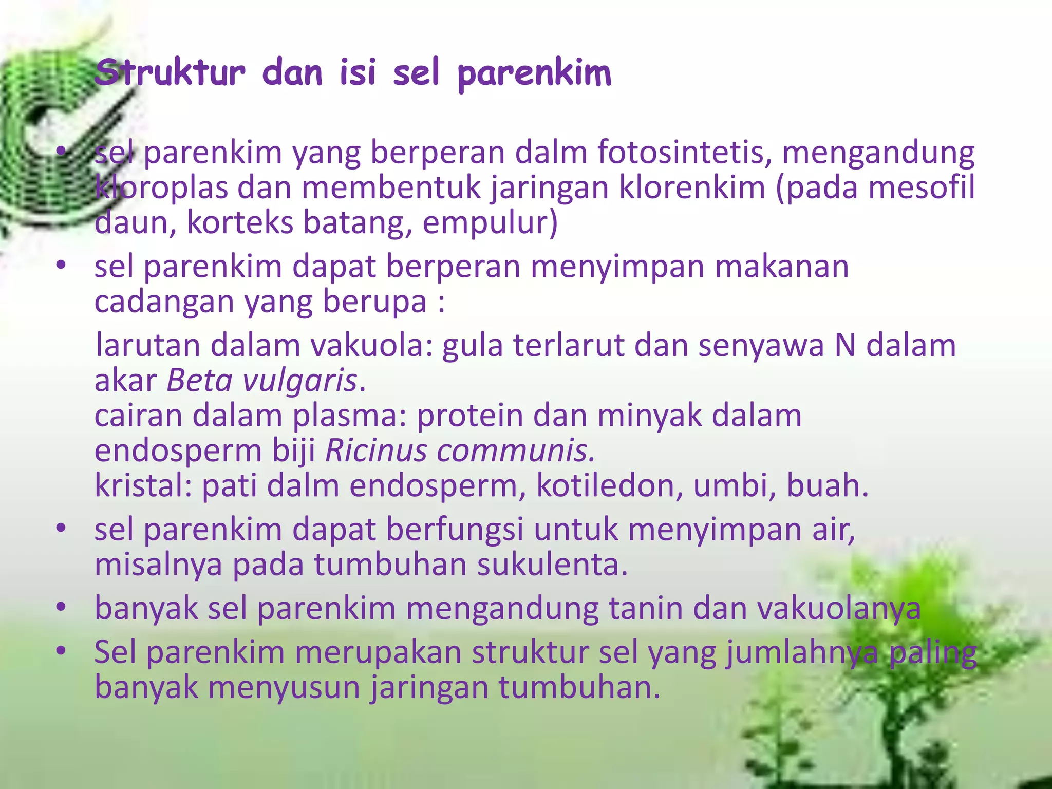 Jaringan Parenkim | PPTX