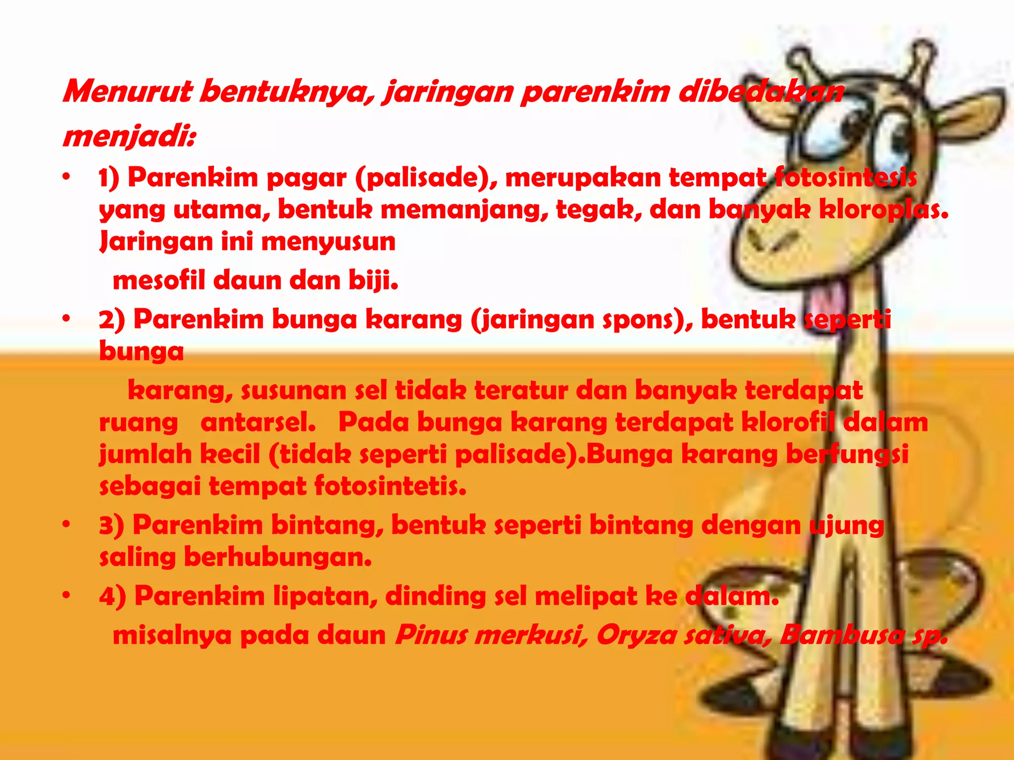 Jaringan Parenkim | PPTX