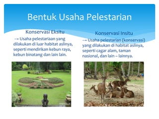 Biologi (pelestarian lh) | PPTX