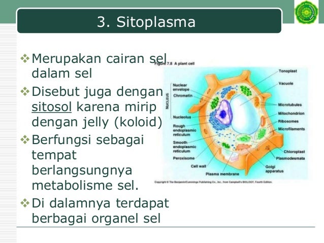 Biologi pengenalan sel