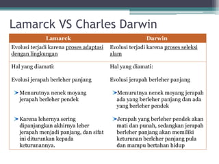 Biologi ~ perbandingan teori evolusi | PPTX