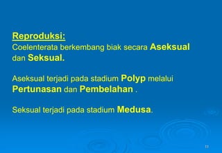 Biologi Filum Coelenterata | PPTX