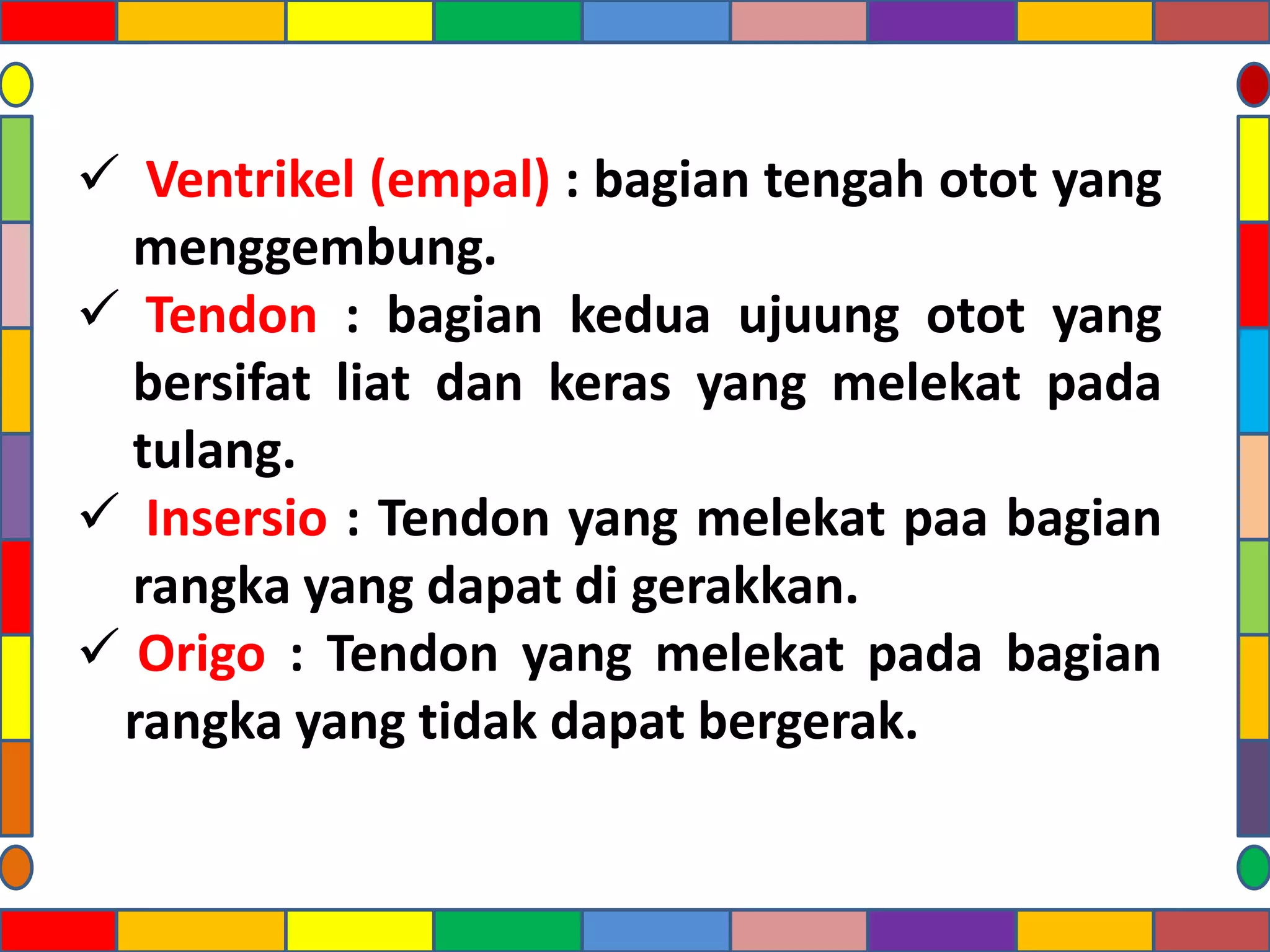 ppt Sistem otot rangka manusia | PPTX