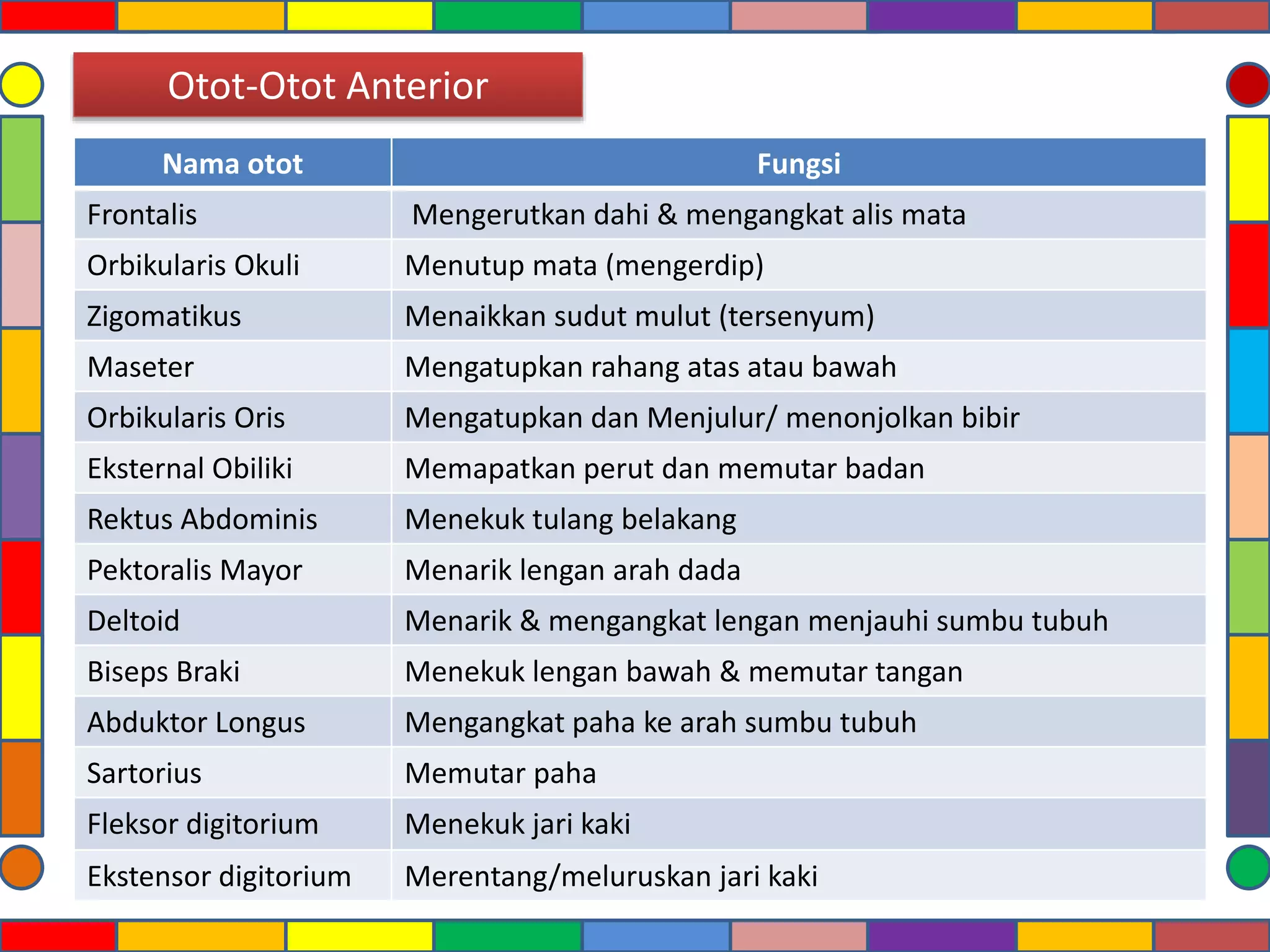 ppt Sistem otot rangka manusia | PPTX