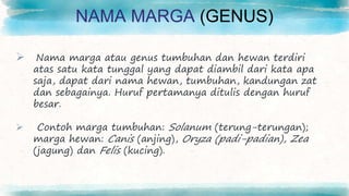 BIOLOGI klasifikasi makhluk hidup materi kelas X | PPTX