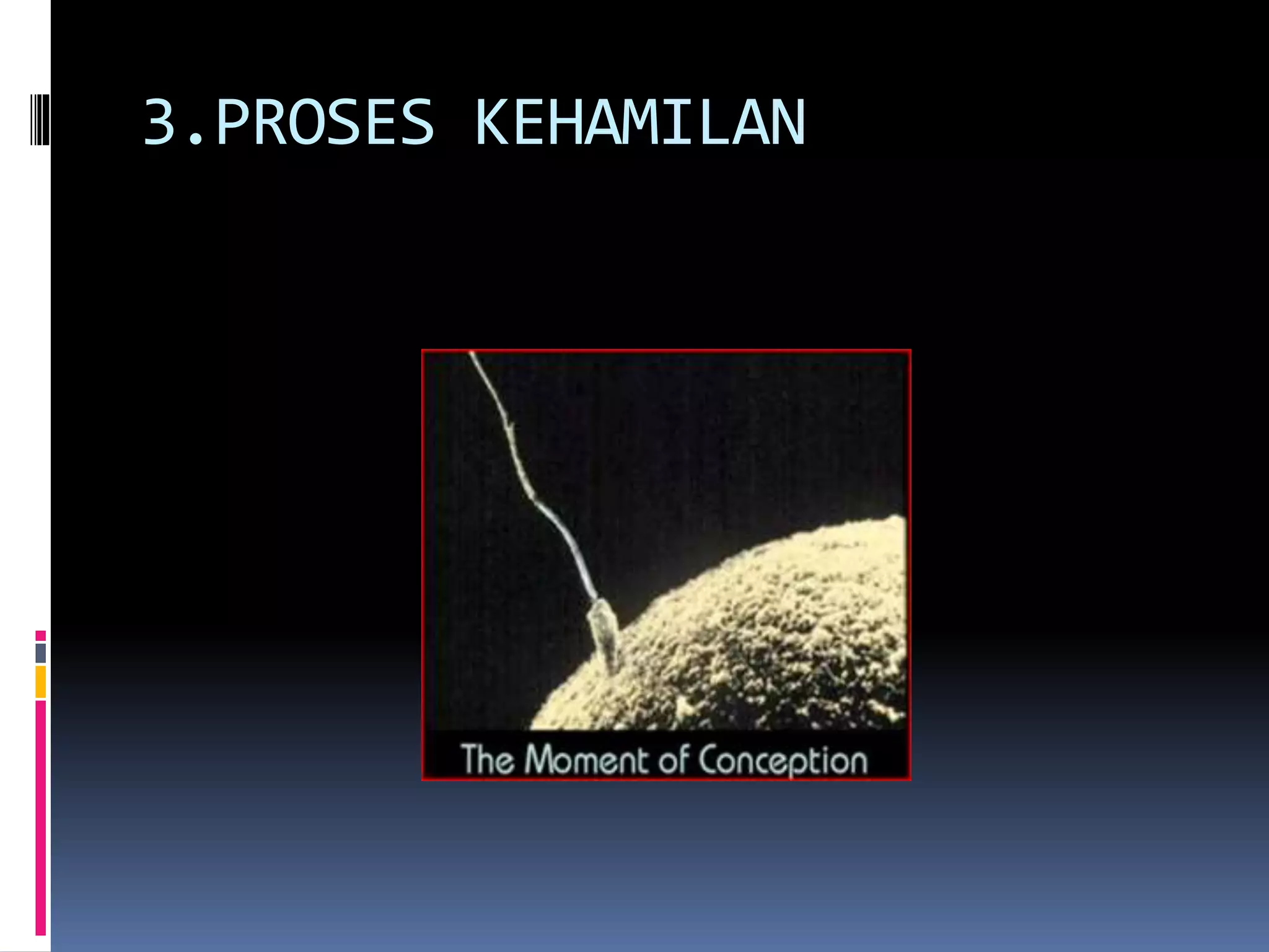 Biologi ppt nds reproduksi2 | PPT