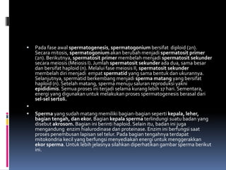 Biologi ppt nds reproduksi2 | PPTX